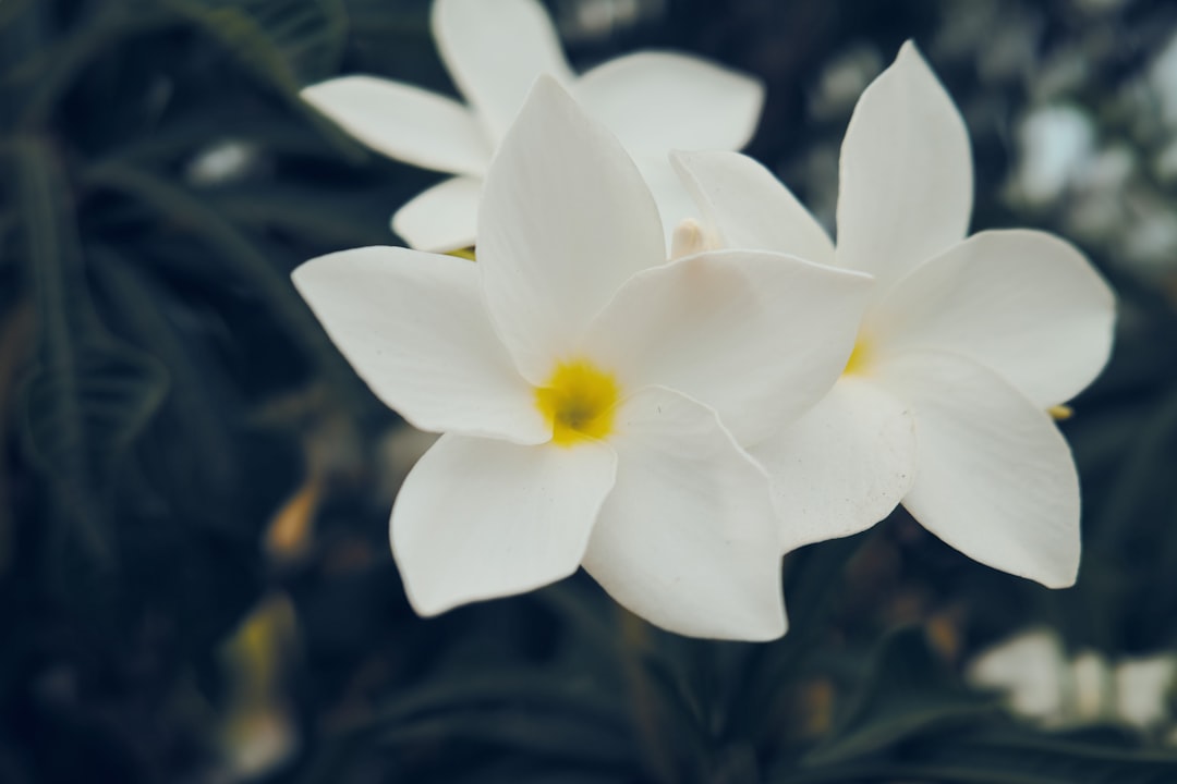Nacimiento Del Río Magdalena: Descubre El Nombre De Este Increíble ...