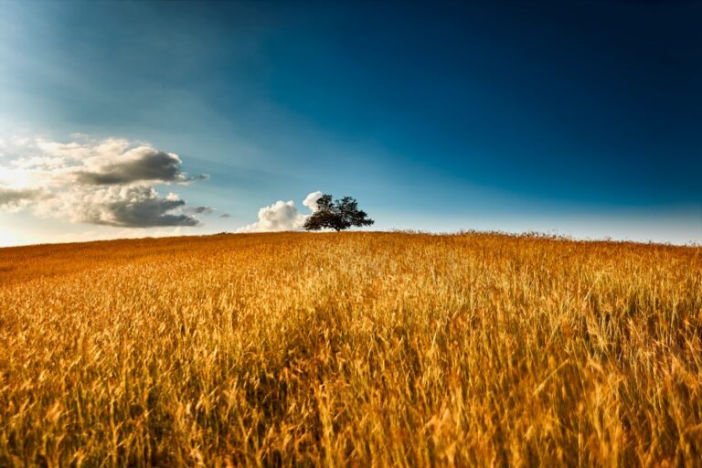 Significado De Chimba En Colombia: Descubre Su Origen Y Uso Cultural ...